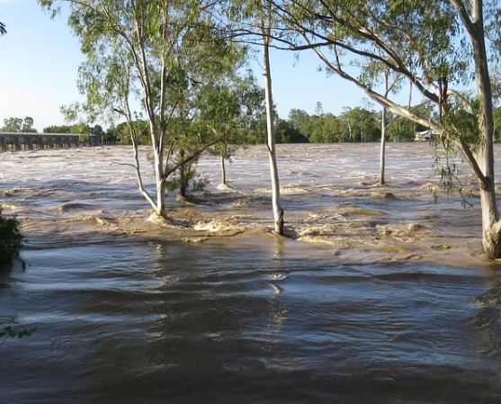 Flood Damage and Water Damage - How To Approach Repairs